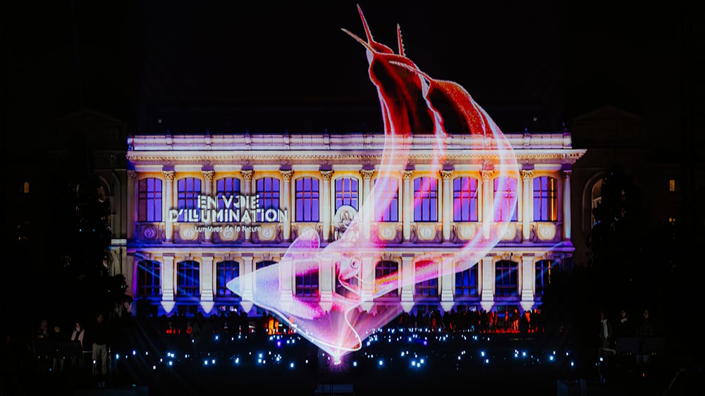 Illuminations de Noël 2025 : les plus beaux parcours lumineux en France