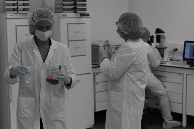 Phenocell passe de la cellule au tissu, et ça participe à l’alternative ...