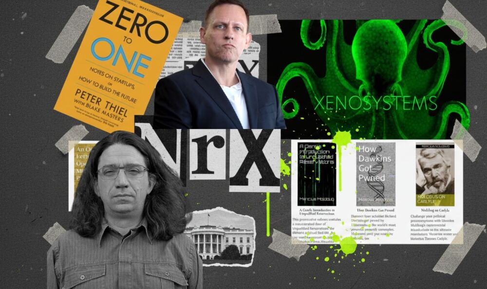 Néoréactionnaires : le plan secret de la Silicon Valley pour détruire ...